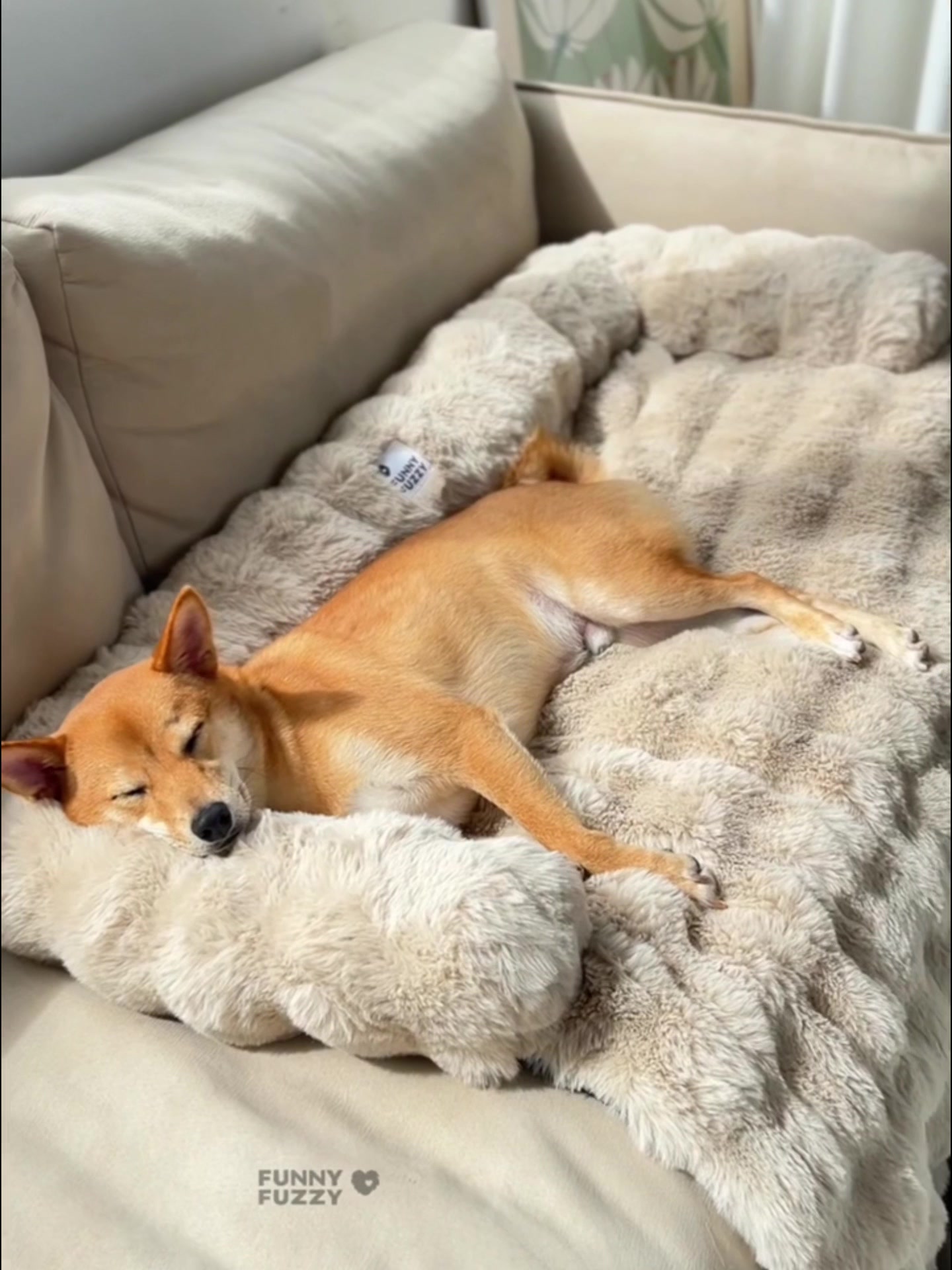 Funnyfuzzy Fluffy Plush Calming Dog Bed Sofa Protective Pet Mat Size L ...